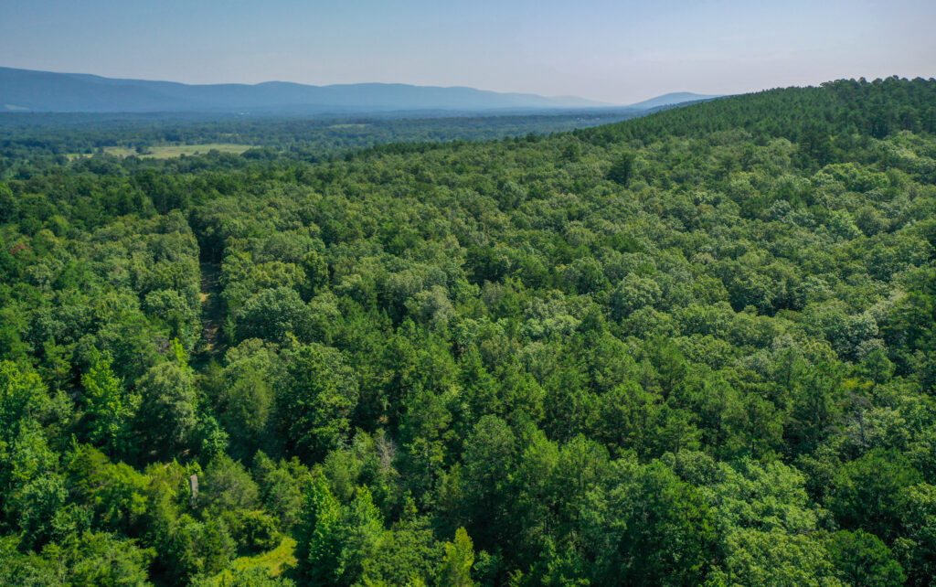 Bates 51 | Hayden Outdoors